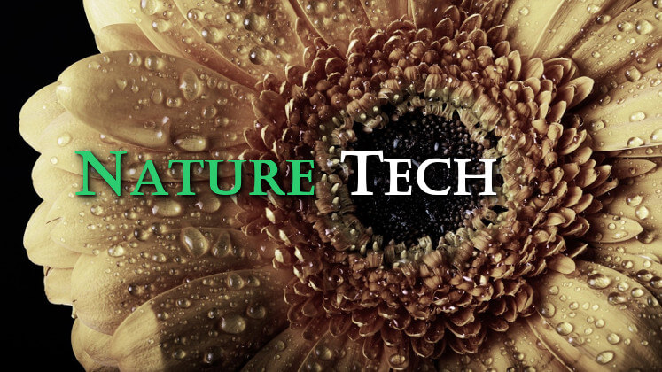 Nature Tech – WorkLizard