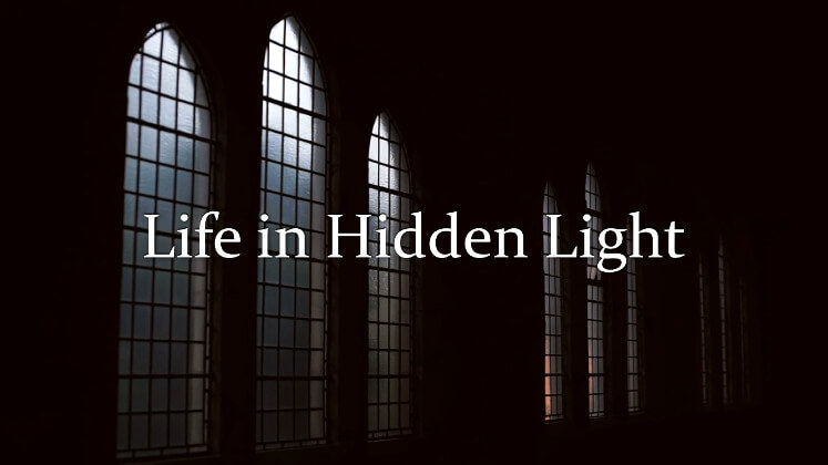 Life in Hidden Light – WorkLizard