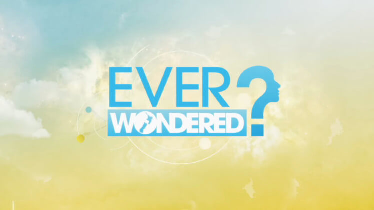 Ever Wondered: Climate Change – WorkLizard