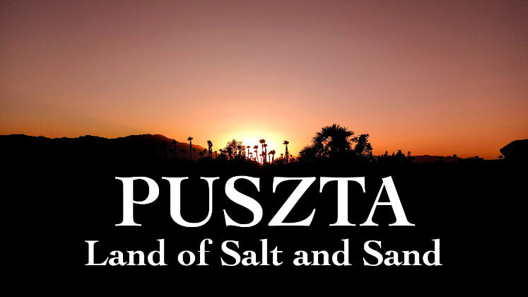 Puszta: Land of Salt and Sand – WorkLizard