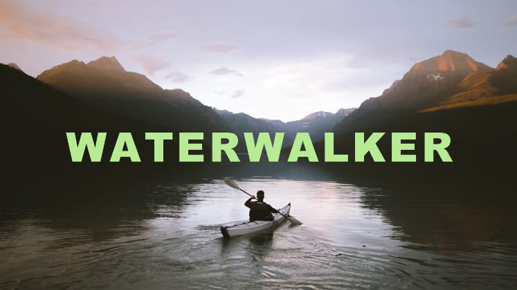 Waterwalker – WorkLizard